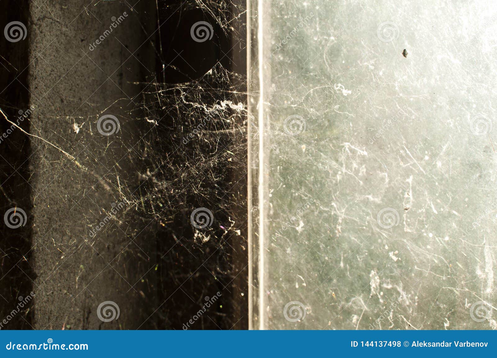 Spider web in home stock photo. Image of arachnid, decay - 144137498