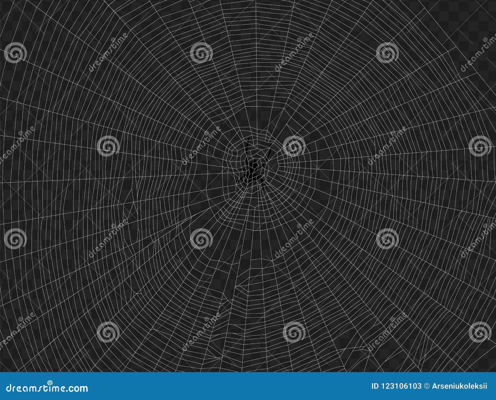 Spider Web Illustration. Round Massive Cobweb with a Spider for ...