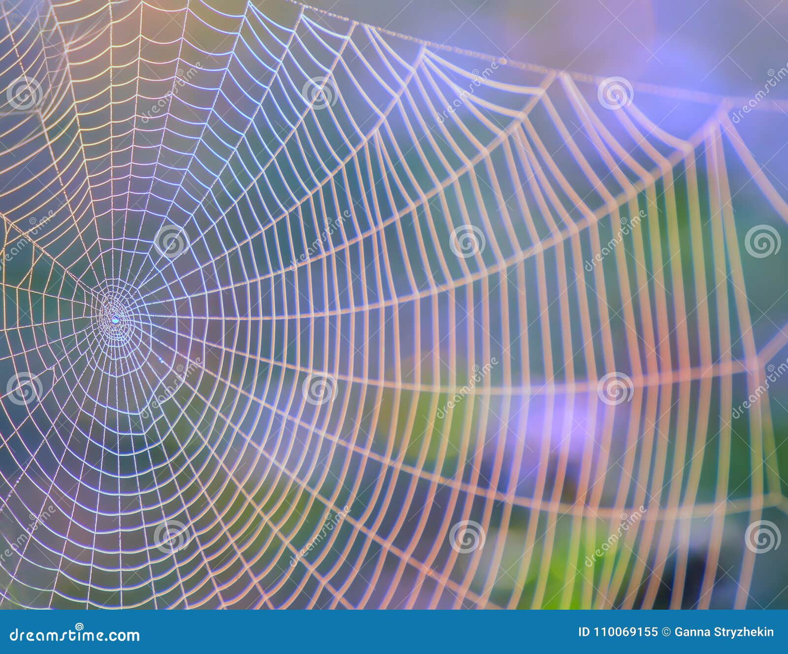 Spider Web Image Abstraction. Stock Image - Image of lines, background ...
