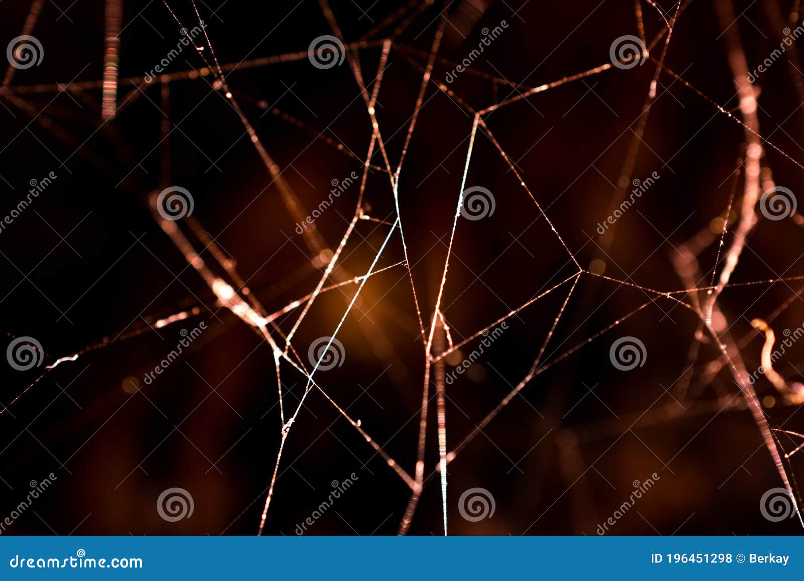 Spider Web Inside a Cave on Display Stock Photo - Image of texture ...