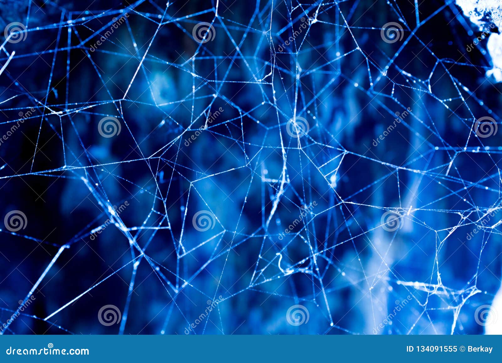 Spider Web Inside a Cave on Display Stock Image - Image of cave, dark ...