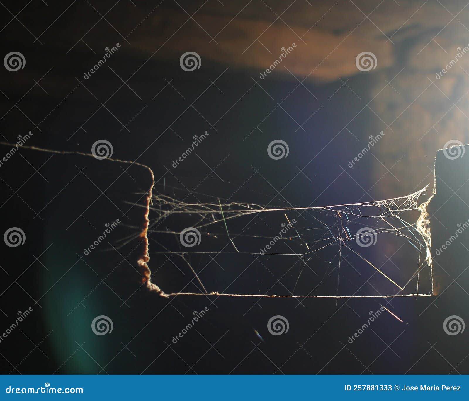 Spider web inside a house stock image. Image of dusk - 257881333