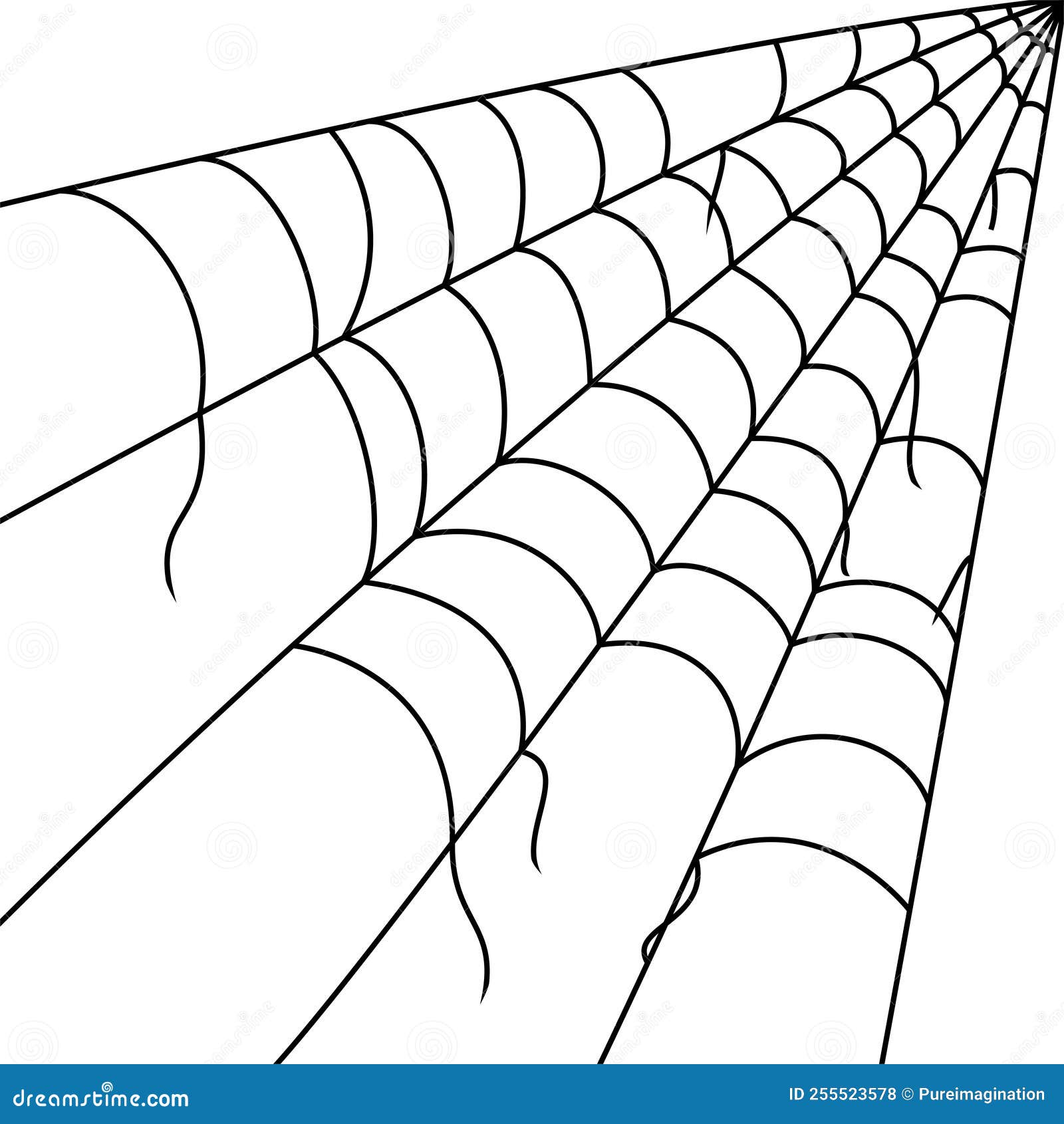 Spider Web Isolated on White Background Stock Vector - Illustration of ...