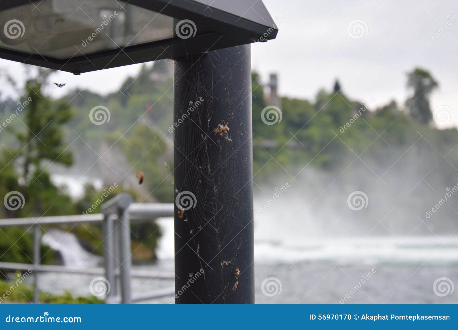 Spider web on lamp post stock photo. Image of equipment - 56970170