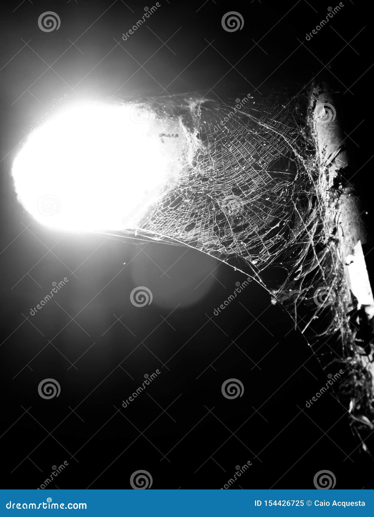 Spider Web on Lamp Post, Black and White Stock Image - Image of ...
