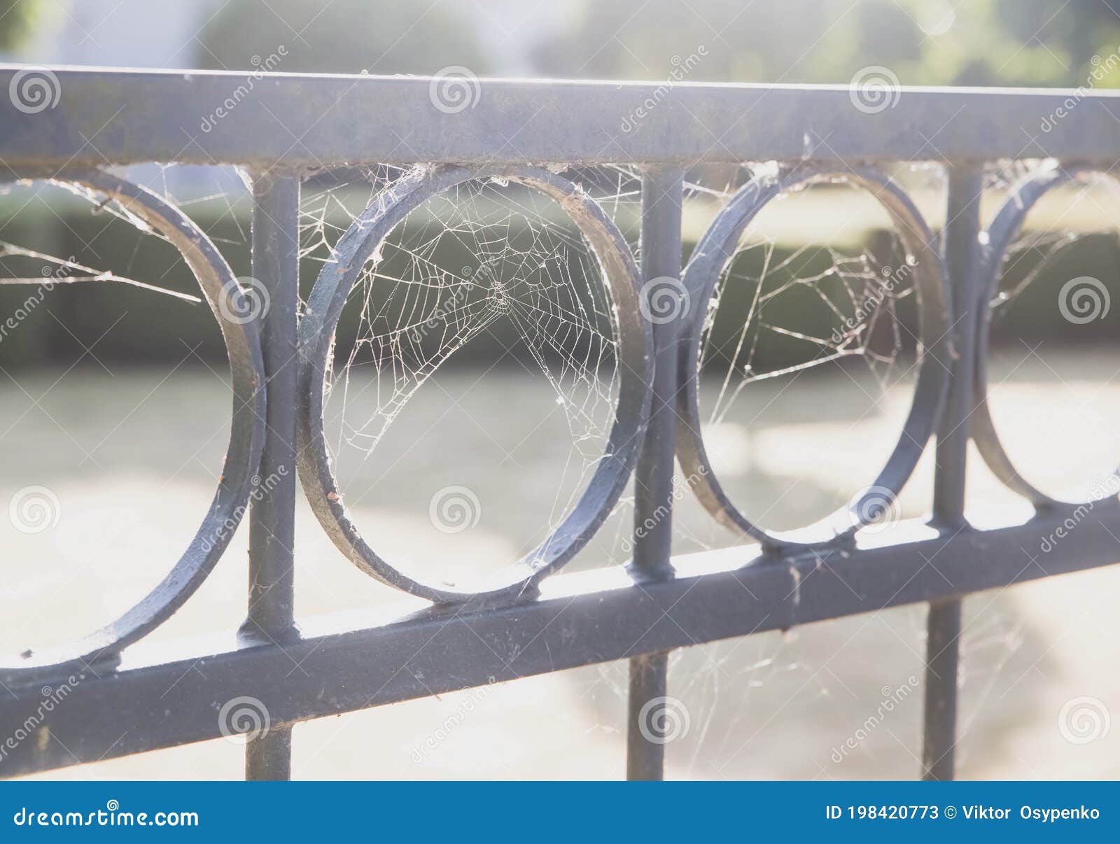 Spider Web on a Metal Black Fence Stock Image - Image of spooky, mist ...