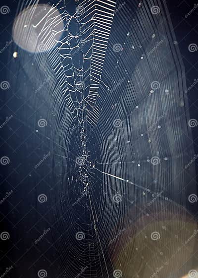 Spider web and moon stock image. Image of nature, cobweb - 11129963