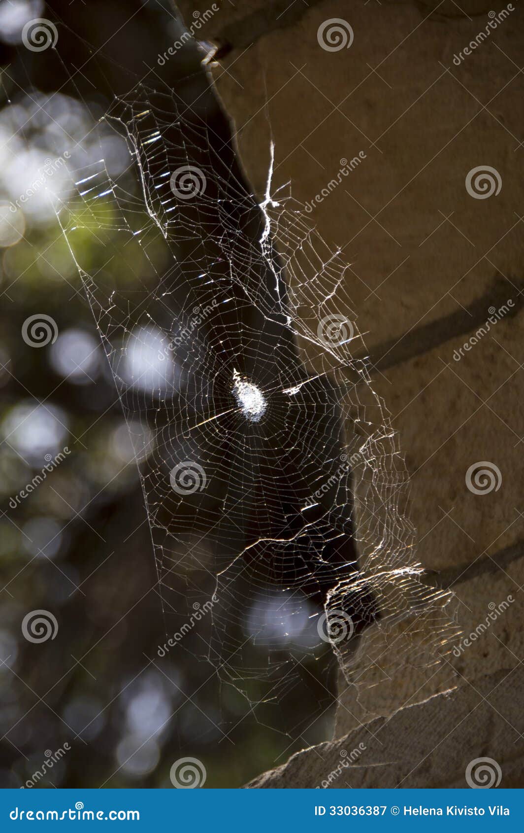 Spider Web on an Old Brick Wall Stock Image - Image of blur, curvature ...