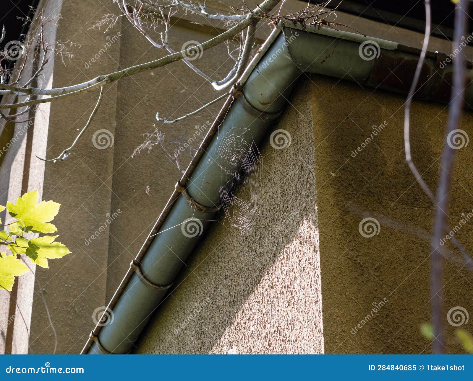 Spider Web on an Old Building Stock Image - Image of wall, roof: 284840685