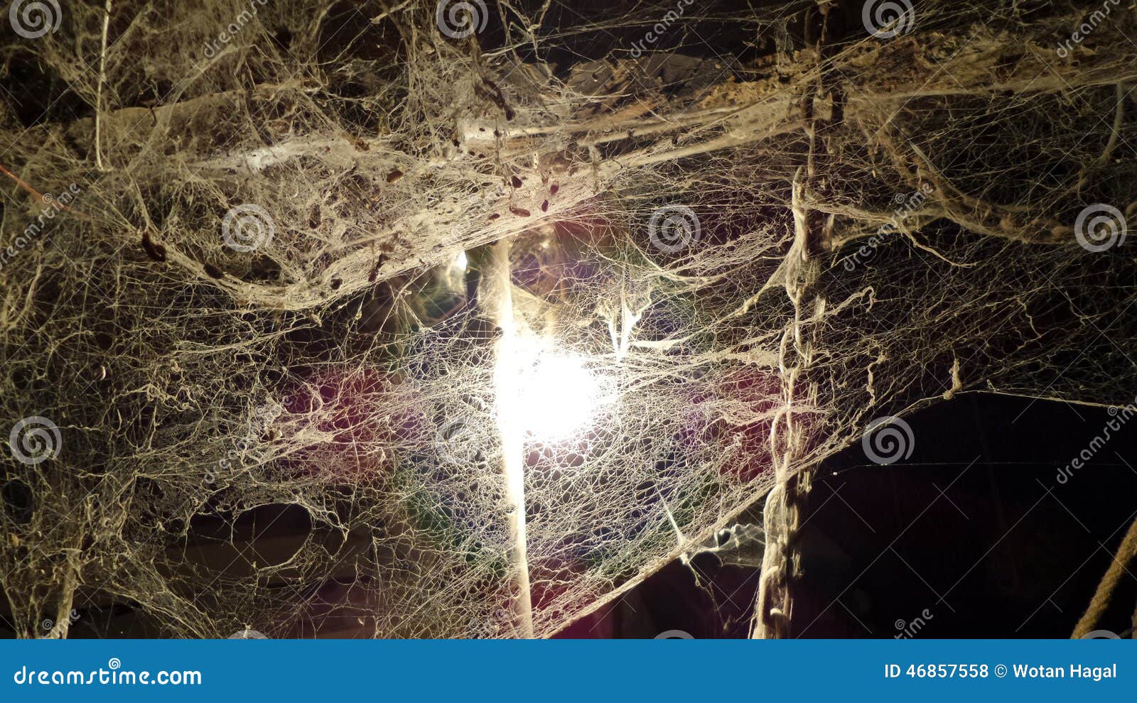 Spider Web stock photo. Image of spider, spain, house - 46857558