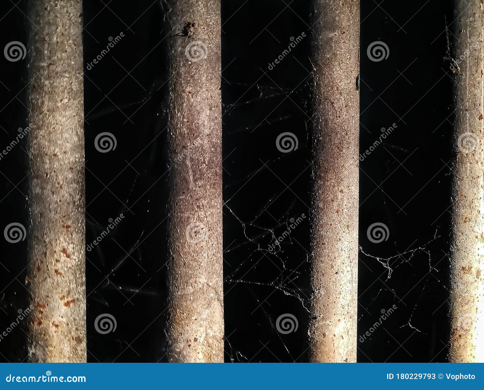Spider Web on Grey Tiles of an Old and Rustic Wall. Stock Image - Image ...