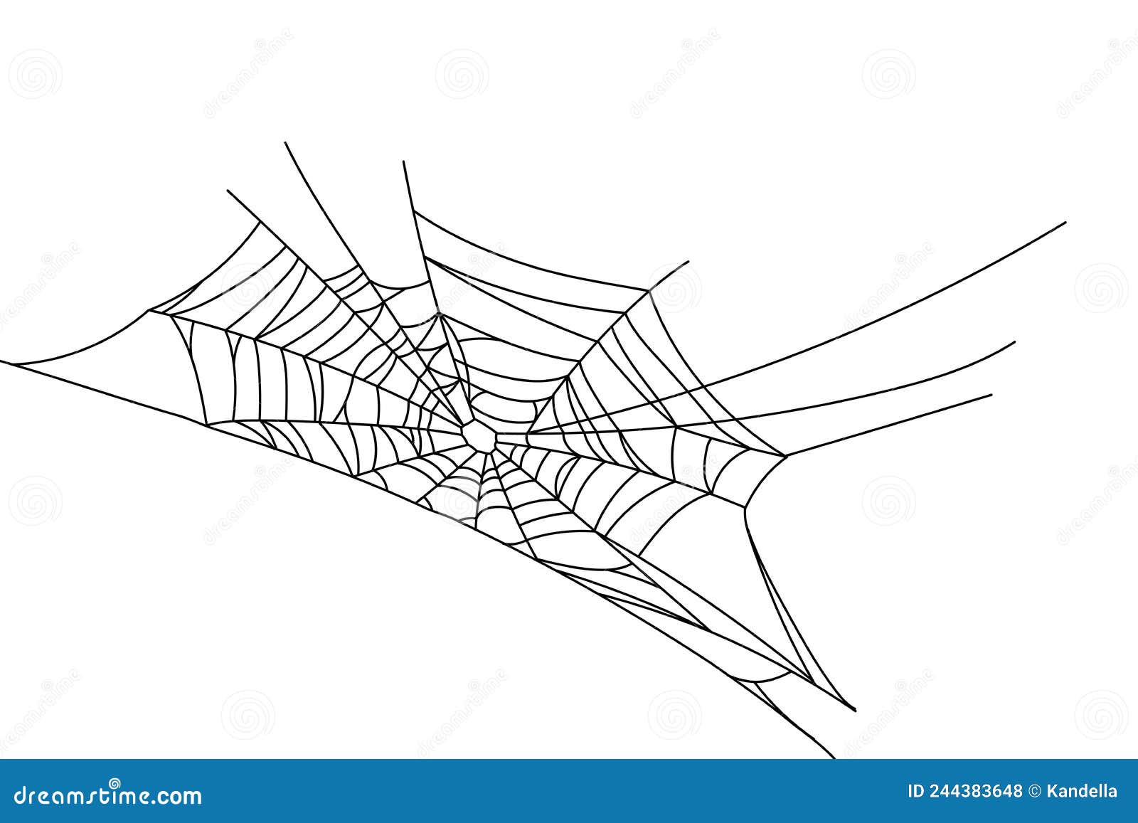 Spider web parts stock vector. Illustration of helloween - 244383648