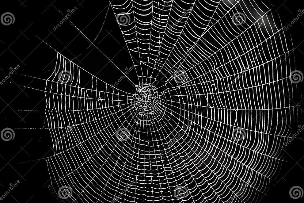 A Spider Web Pattern for Halloween Scary Spiderweb Stock Photo - Image ...