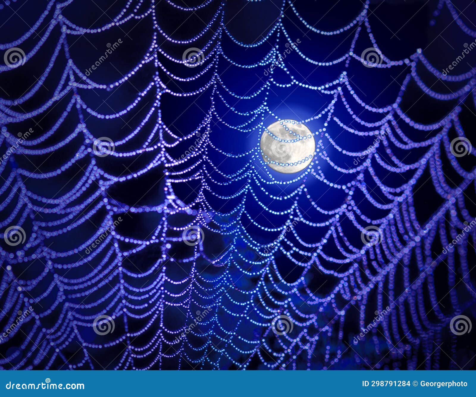 Spider Web stock photo. Image of night, spider, moonlight - 298791284