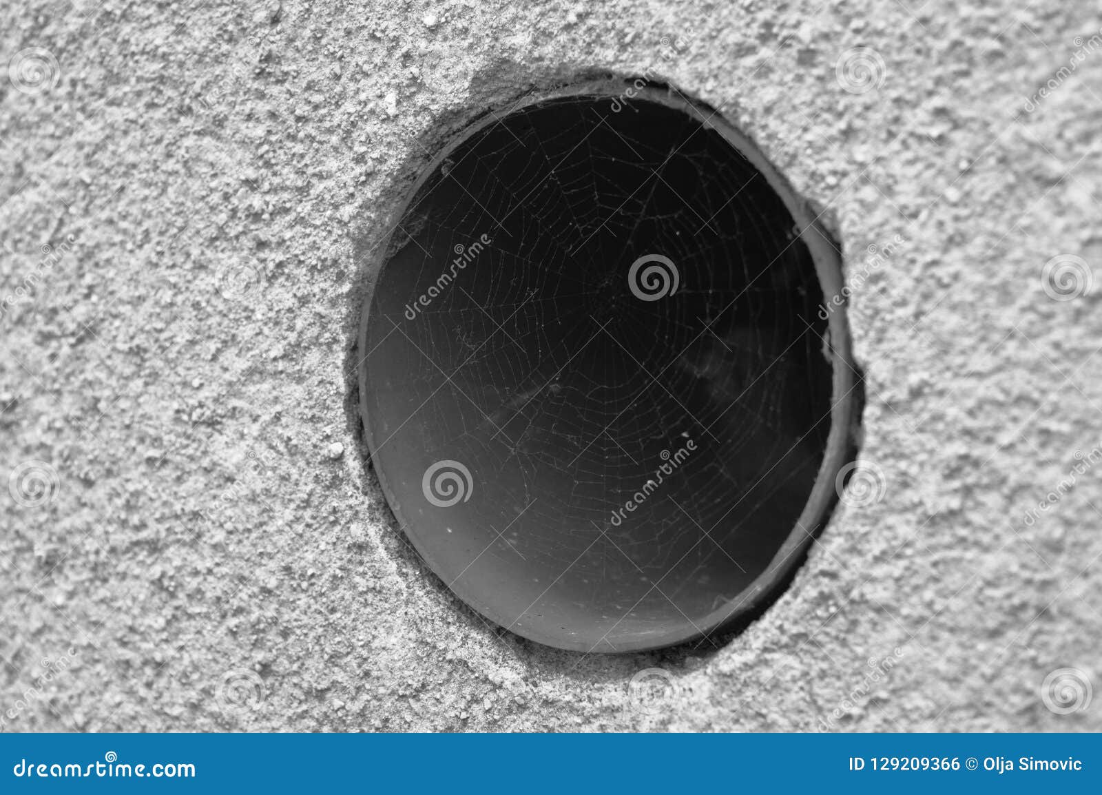 Spider web on the pipe stock photo. Image of thin, color - 129209366