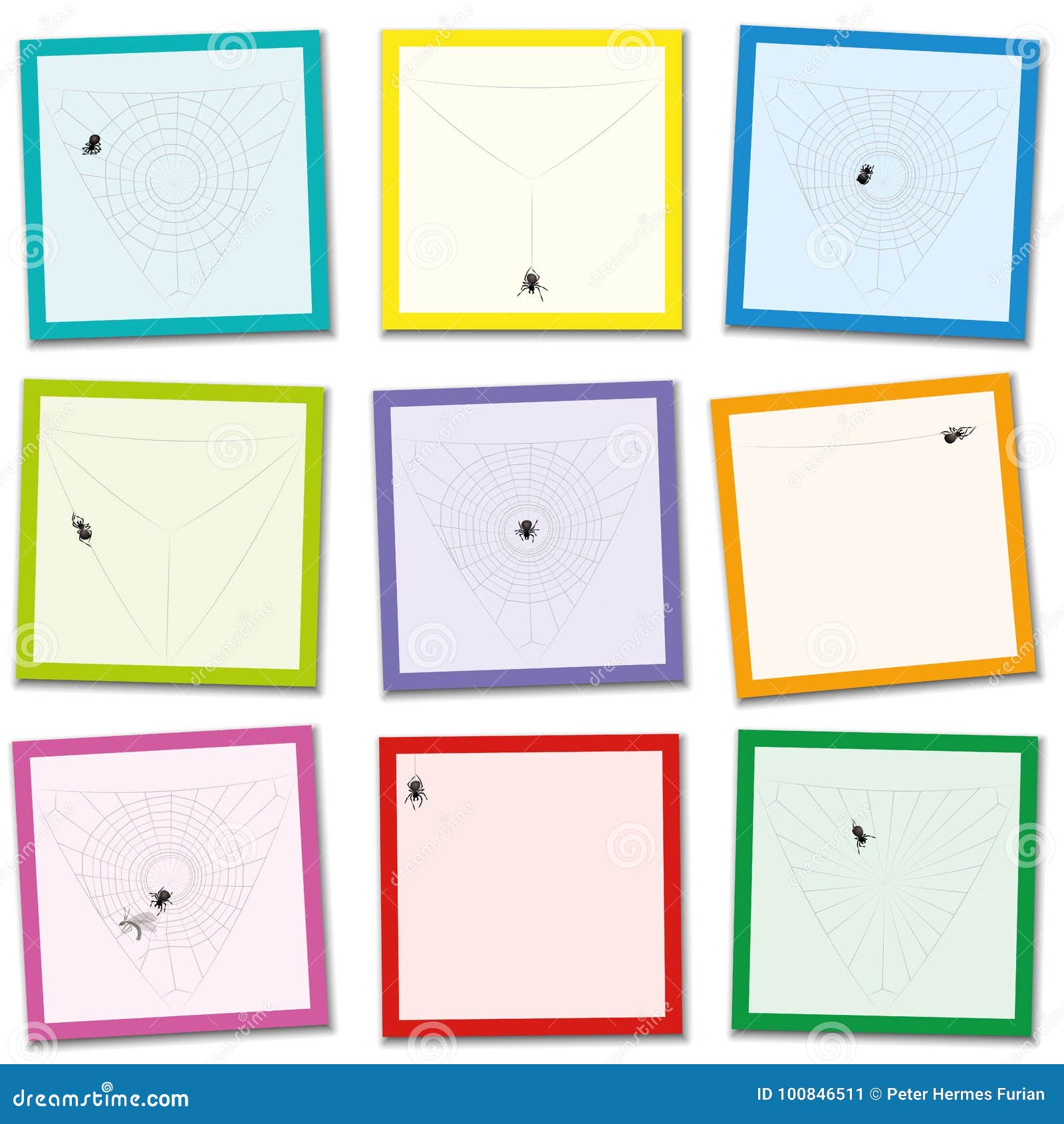 Spider Web Puzzle Game Correct Order Stock Vector - Illustration of ...