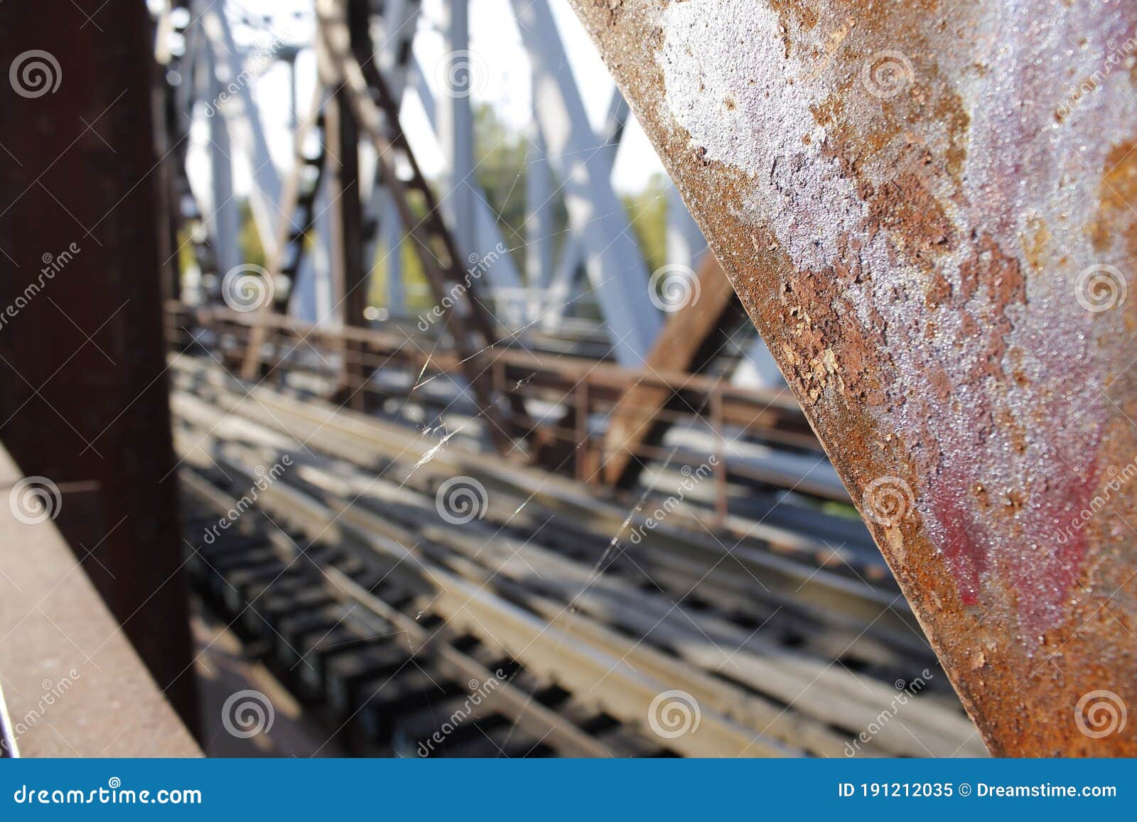 Spider Web on the Railway Bridge in Summer Stock Image - Image of ...