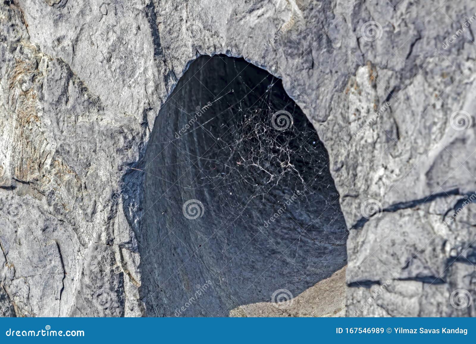 Spider Web in Rock Pit in Nature Stock Image - Image of creepy, pattern ...