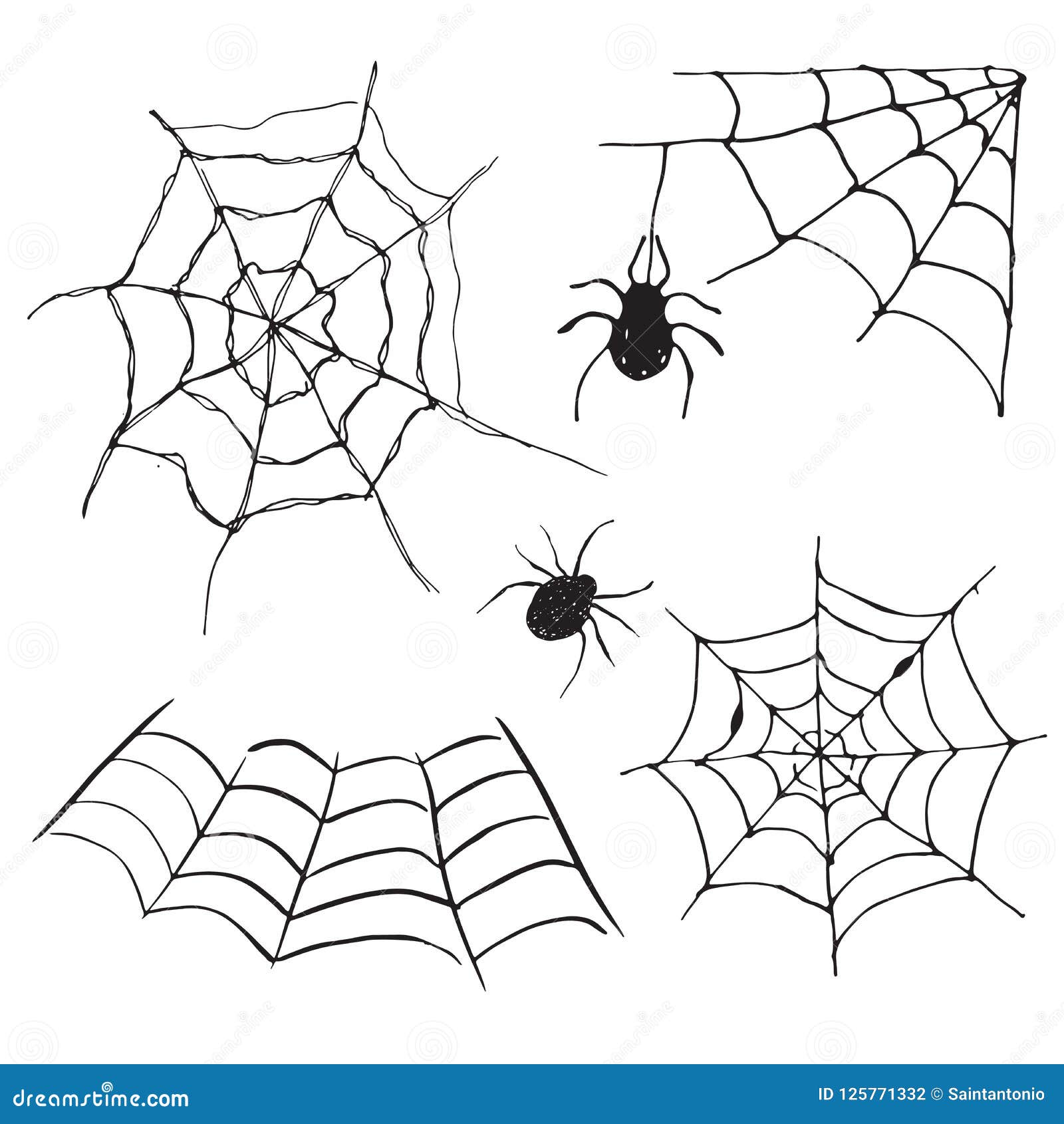 Spider Web Set Hand Drawn Sketched Web Vector Illustration Isolated on ... Spider Web Set Hand Drawn Sketched Web Vector Illustration Isolated on ...