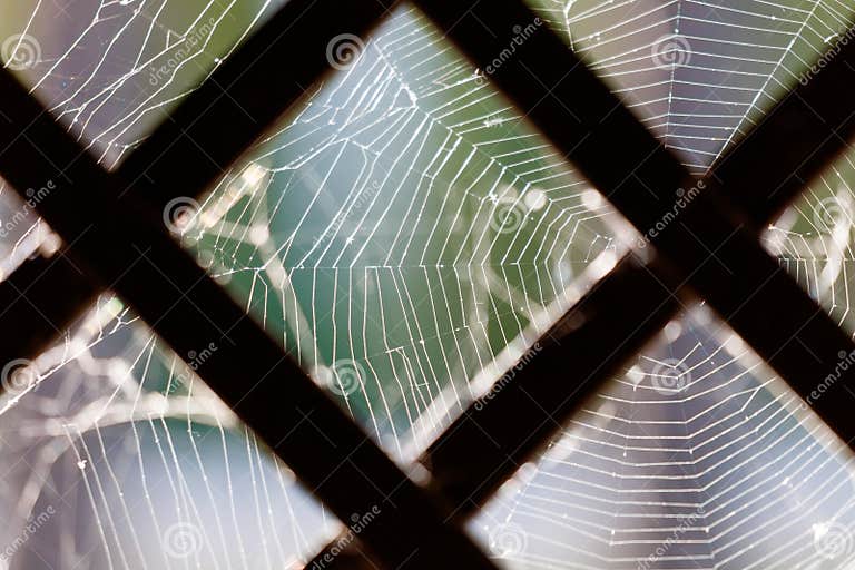 A Spider Web is Shown in a Window Frame Stock Image - Image of nature ...