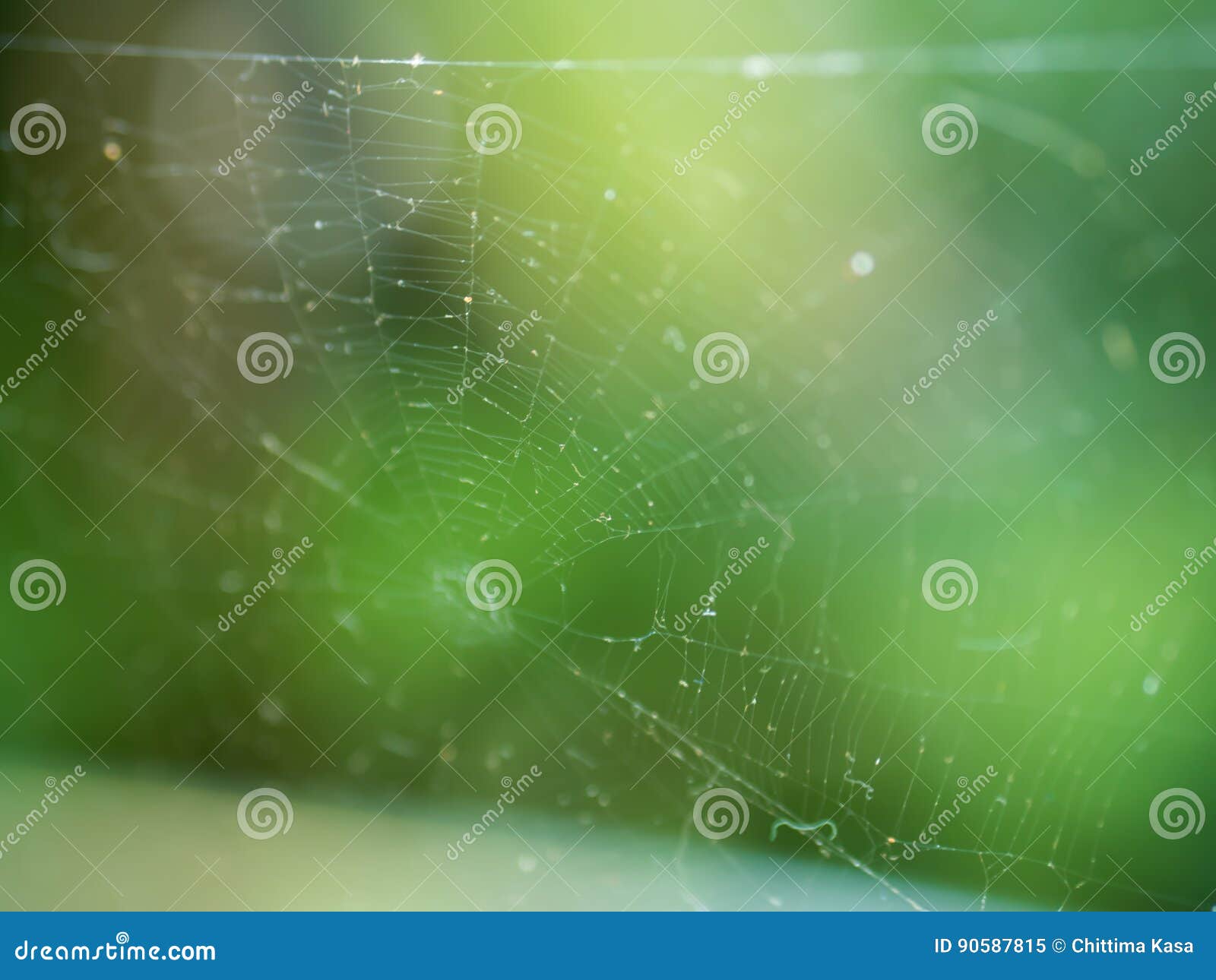 Spider web stock image. Image of small, build, design - 90587815