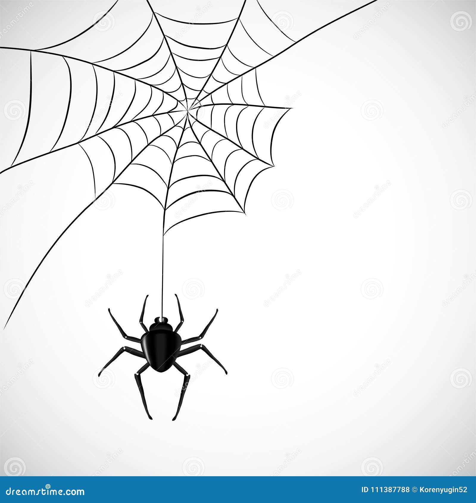 Spider Web Stock Vector Illustration Stock Vector - Illustration of ... Spider Web Stock Vector Illustration Stock Vector - Illustration of ...