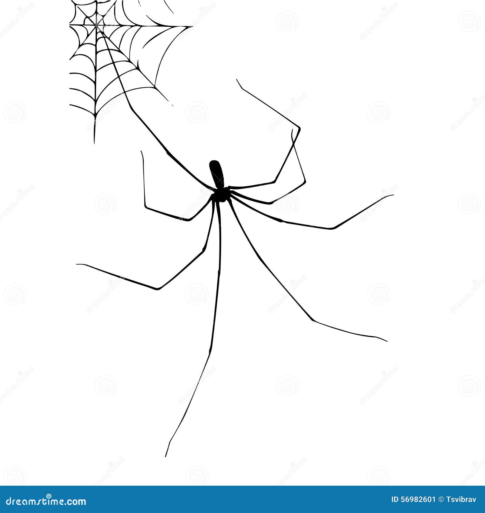 Spider And Web Stylized Illustration Vector | CartoonDealer.com #56982601