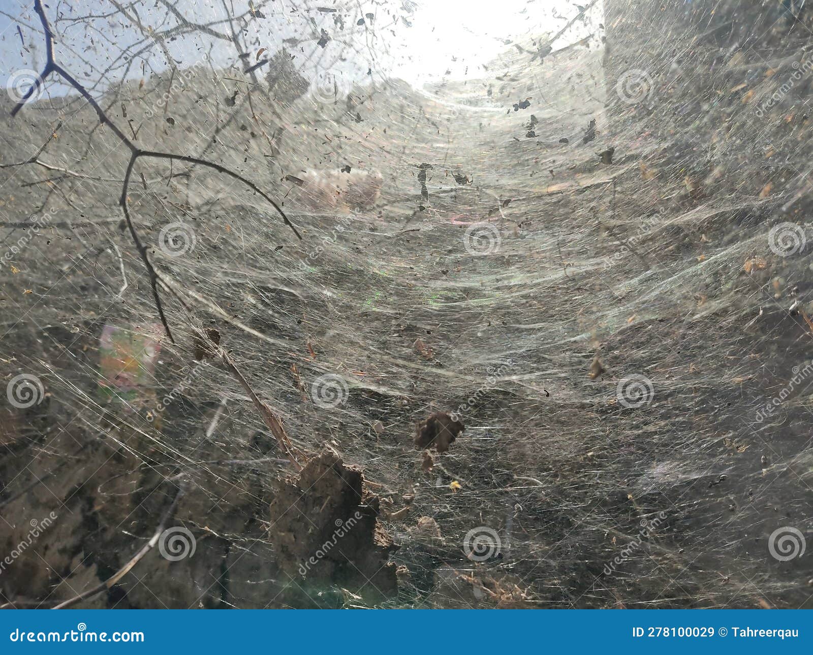 Spider web with sun rays stock image. Image of geology - 278100029