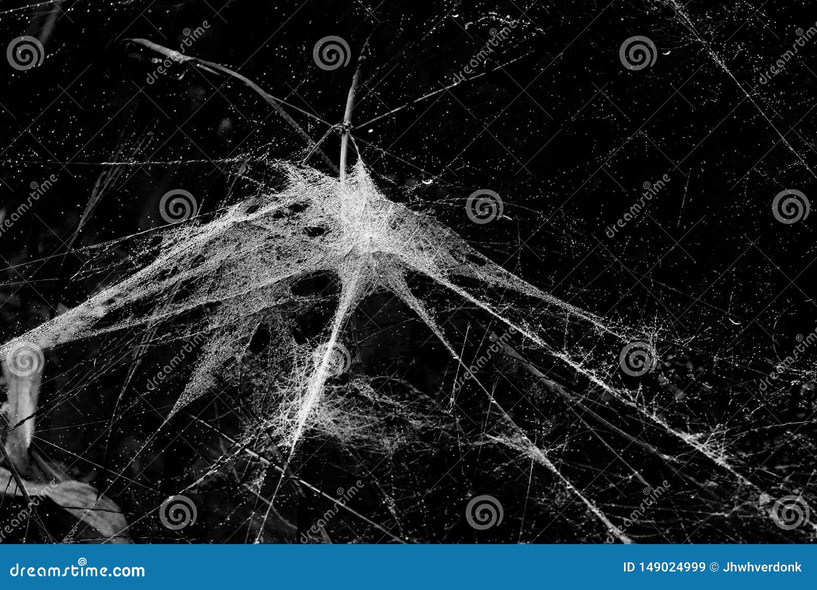 Spider Web with 6 Threads Leading To the Middle Point Connecting ...