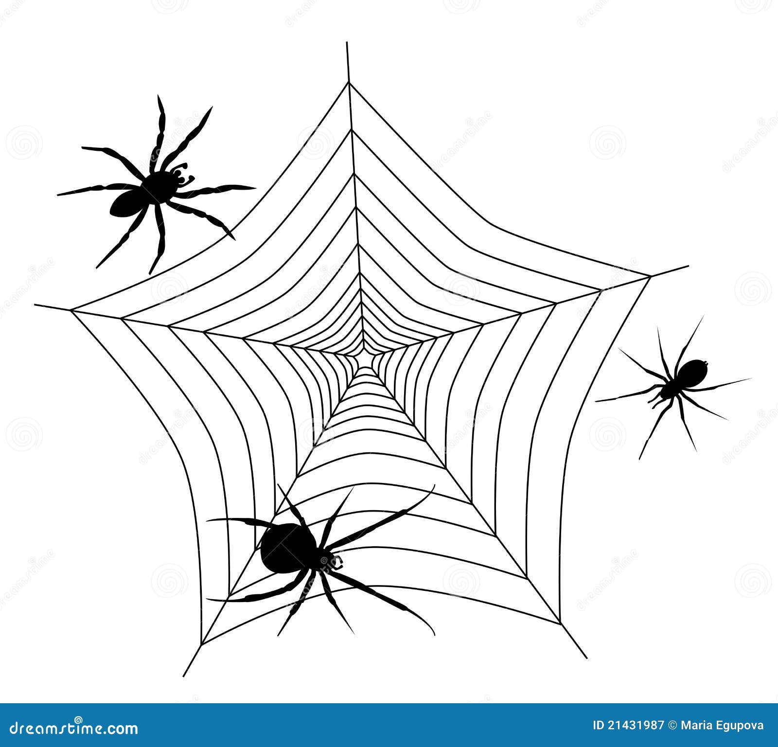 Spider Web with Three Spiders Stock Vector - Illustration of poison ...