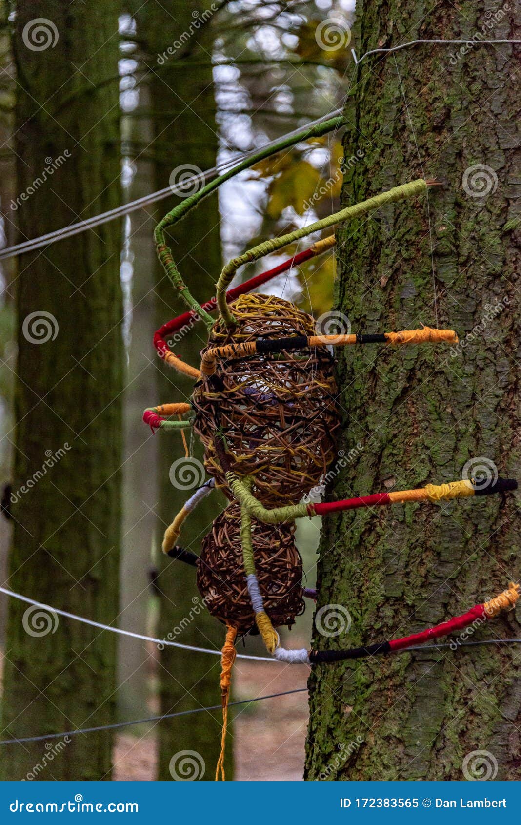 Spider Tree made of wool stock image. Image of creepy - 172383565