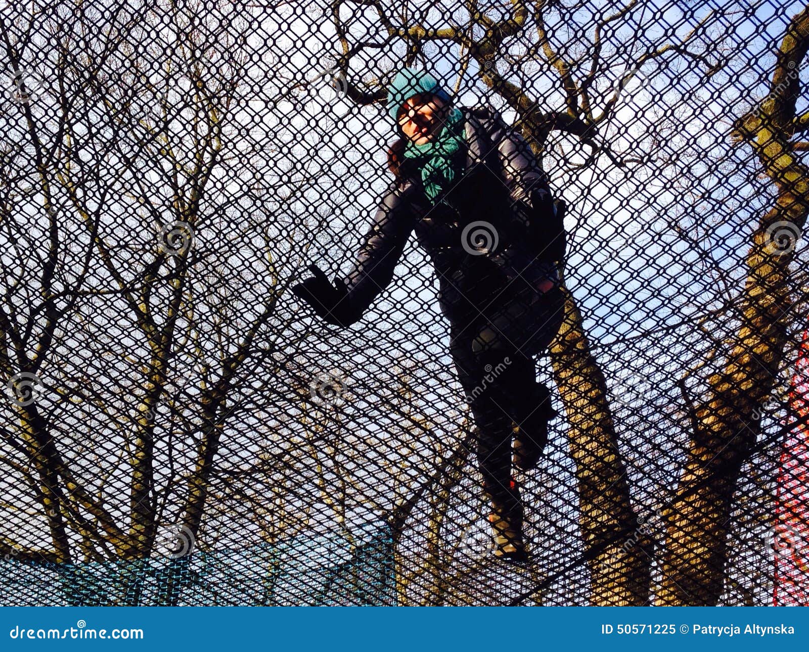 Spider web among the trees editorial image. Image of trampoline - 50571225