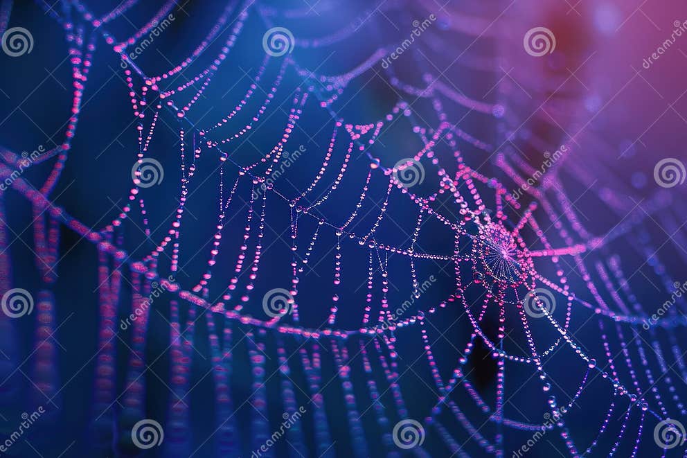 A Spider Web with Two Spiders on it with Generative AI Stock Photo ...