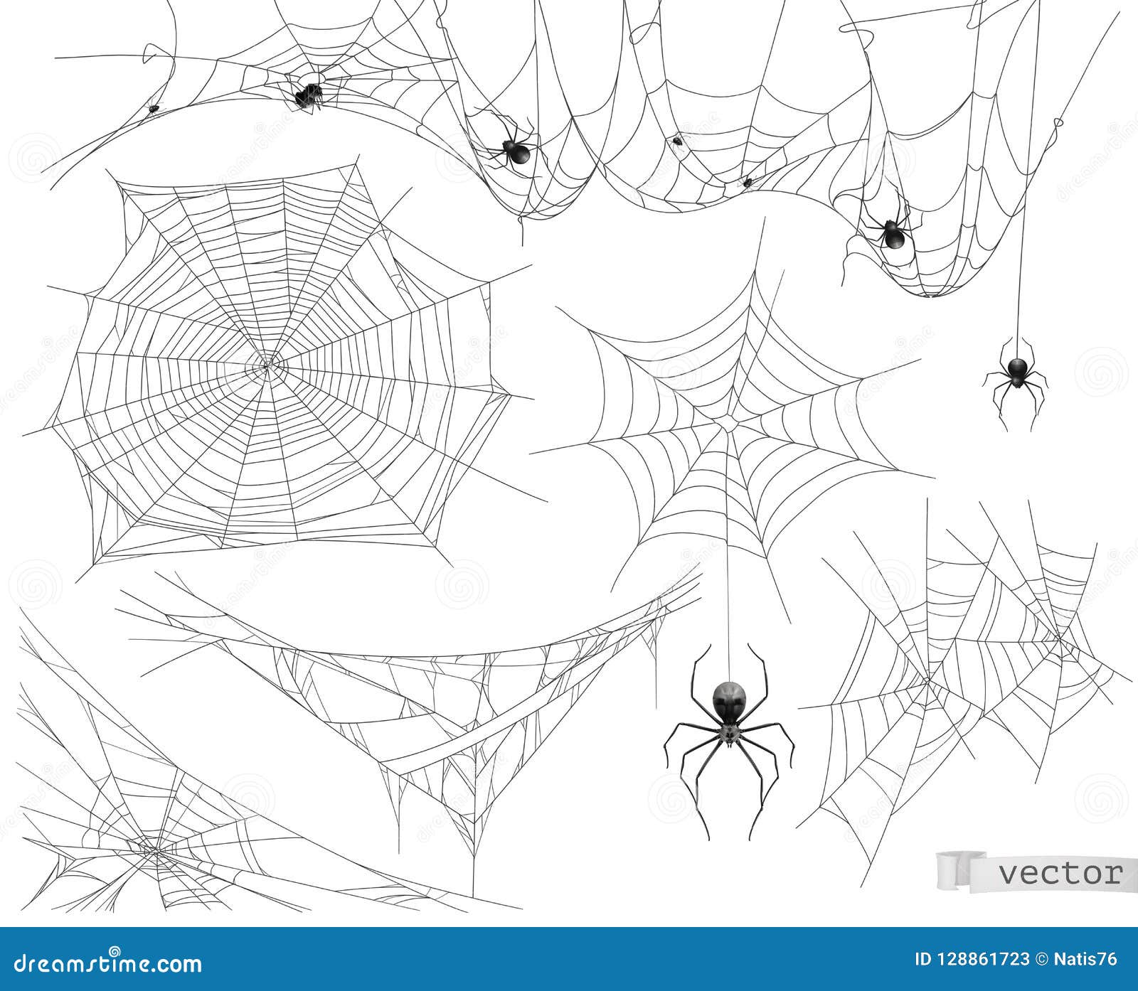 Spider And Web Cartoon Vector | CartoonDealer.com #13280075