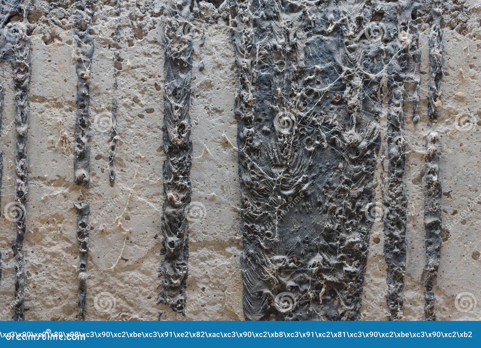 Spider Web on the Wall. Gossamer Web on the Wall Stock Image - Image of ...