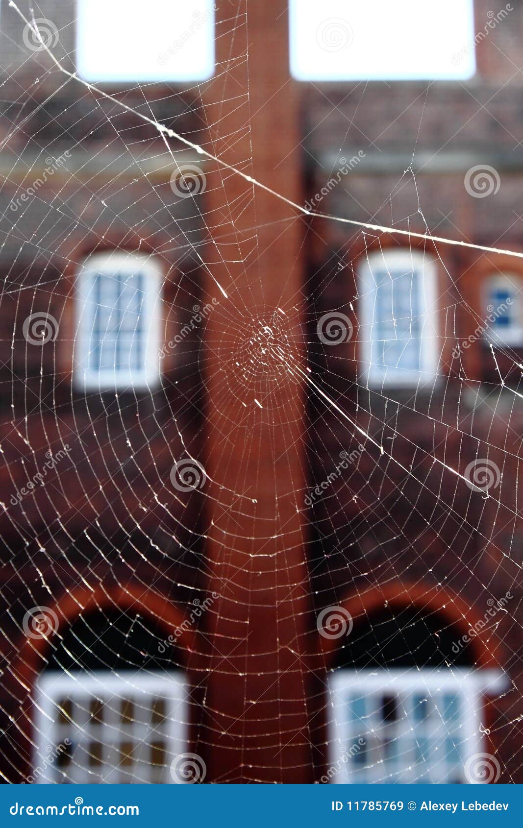 Spider Web On Window Royalty-Free Stock Photography | CartoonDealer.com ...