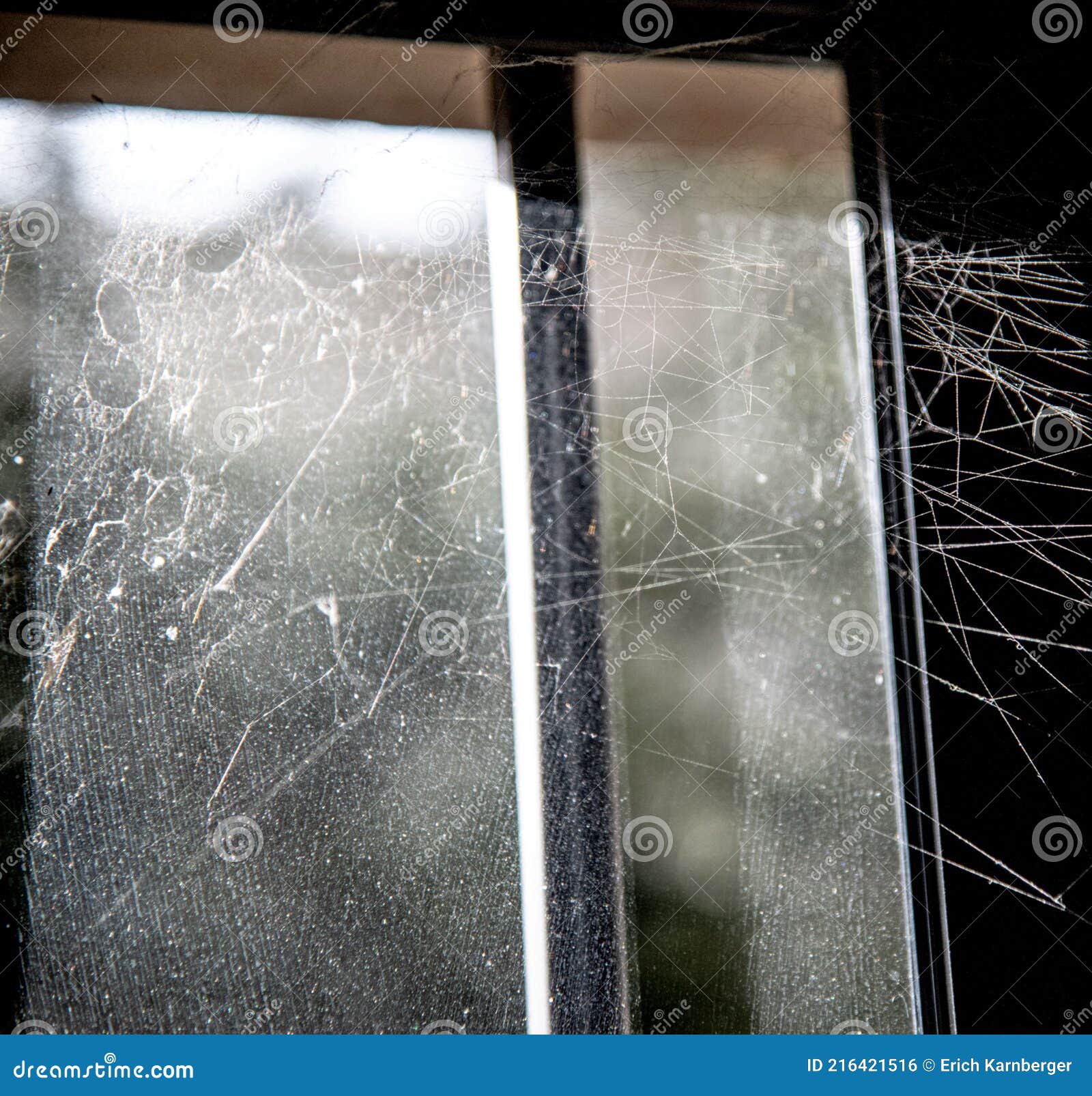 Spider Web On Window Royalty-Free Stock Photography | CartoonDealer.com ...