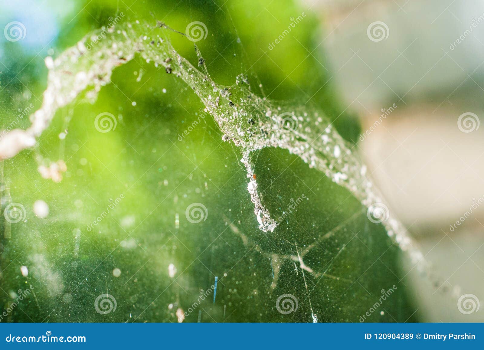 Spider web on the window stock image. Image of spider - 120904389