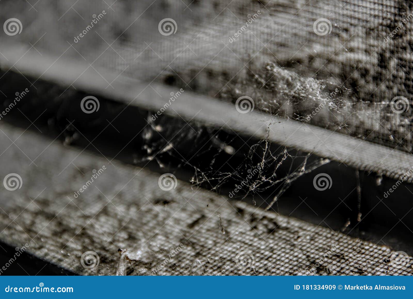 Spider Web In The Window Royalty-Free Stock Photography | CartoonDealer ...