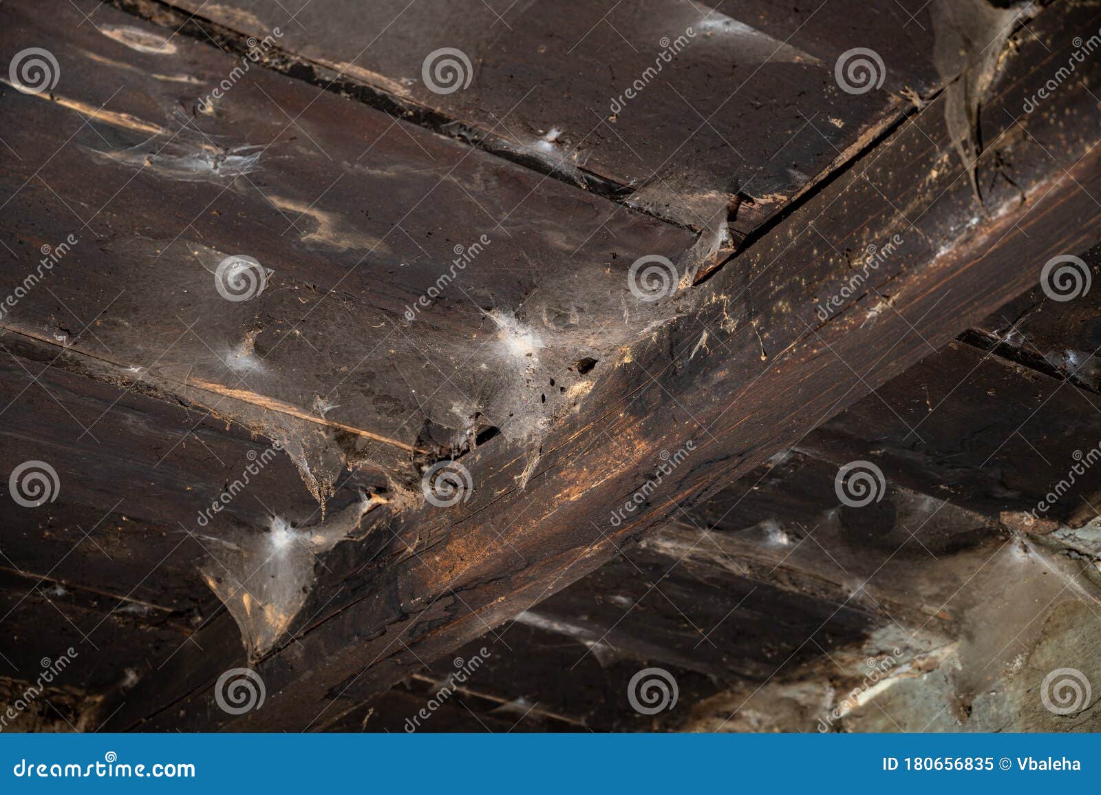 Spider Web on the Wooden Ceiling Stock Image - Image of architecture ...