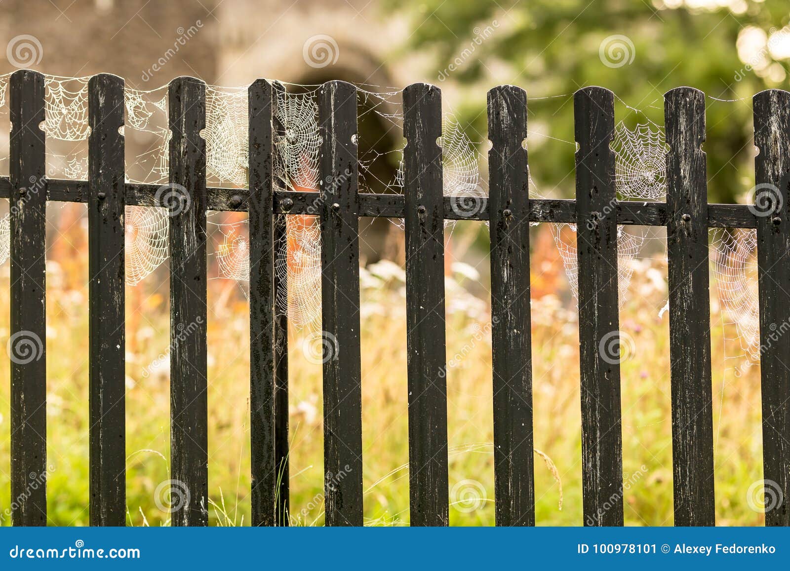 Spider Webb on Fence in the Morning Stock Image - Image of highlands ...