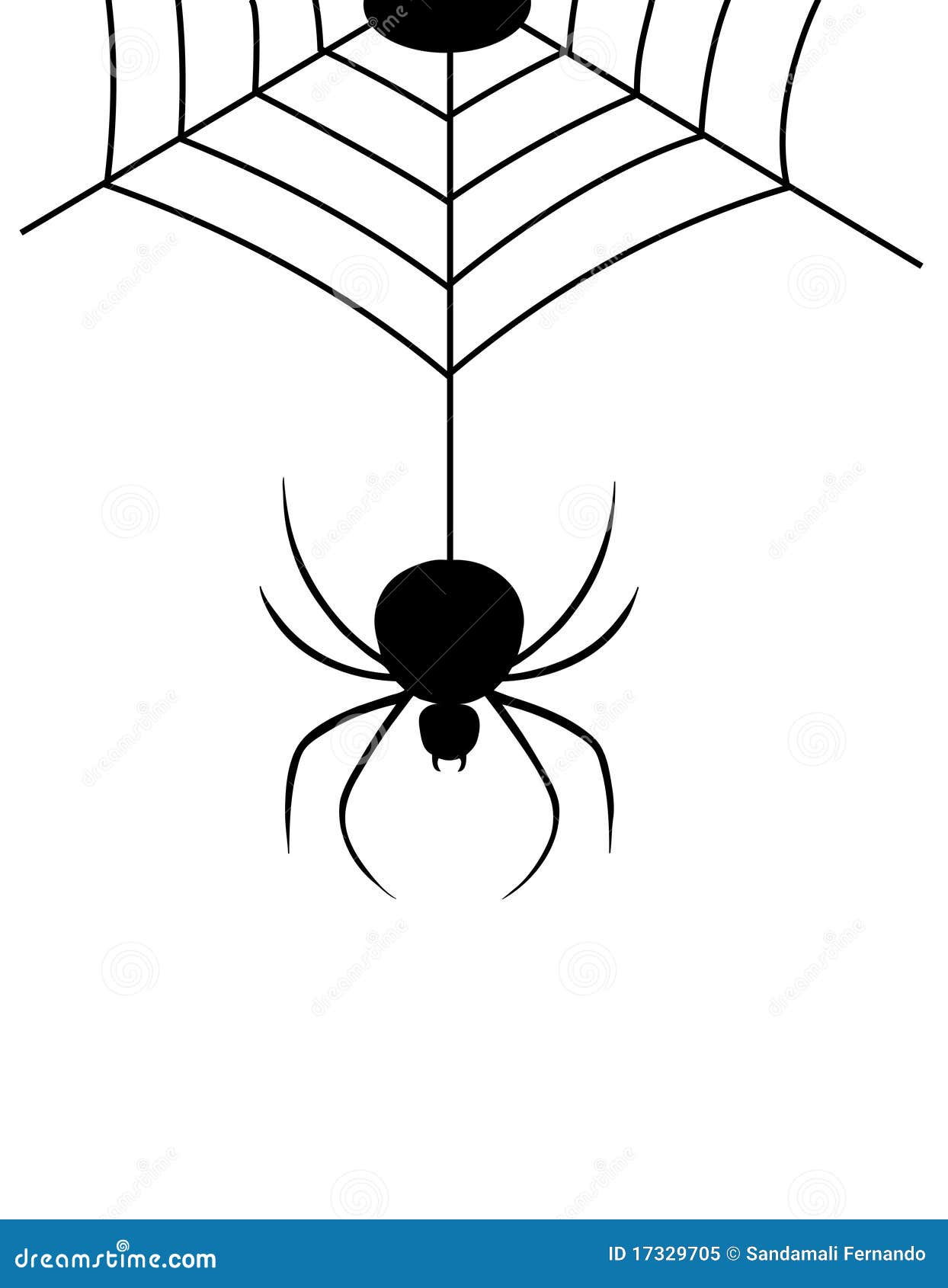 Spider Webs Cartoon Vector | CartoonDealer.com #17329705