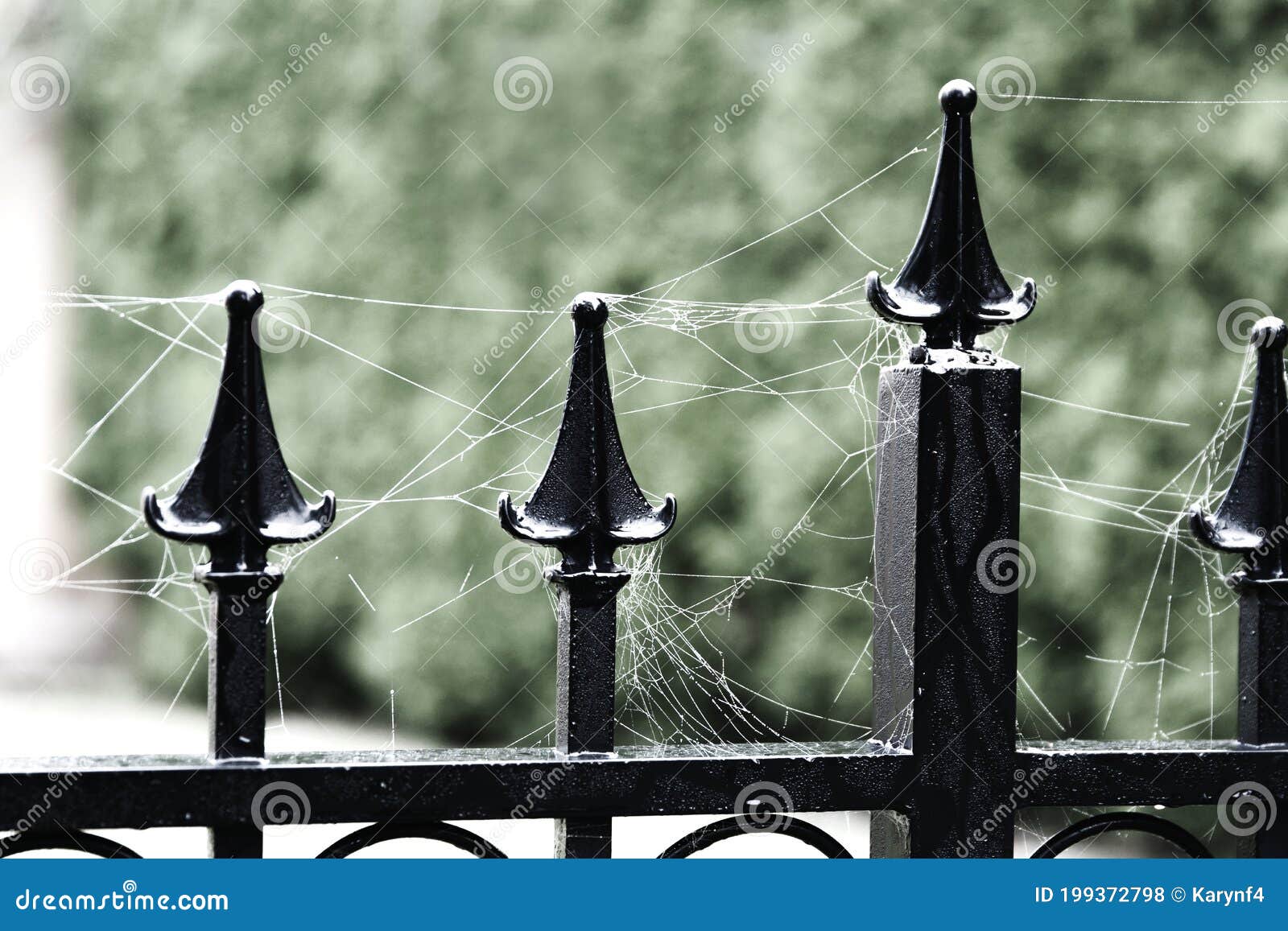 Spider Webs Along the Points of a Fence Stock Photo - Image of grey ...