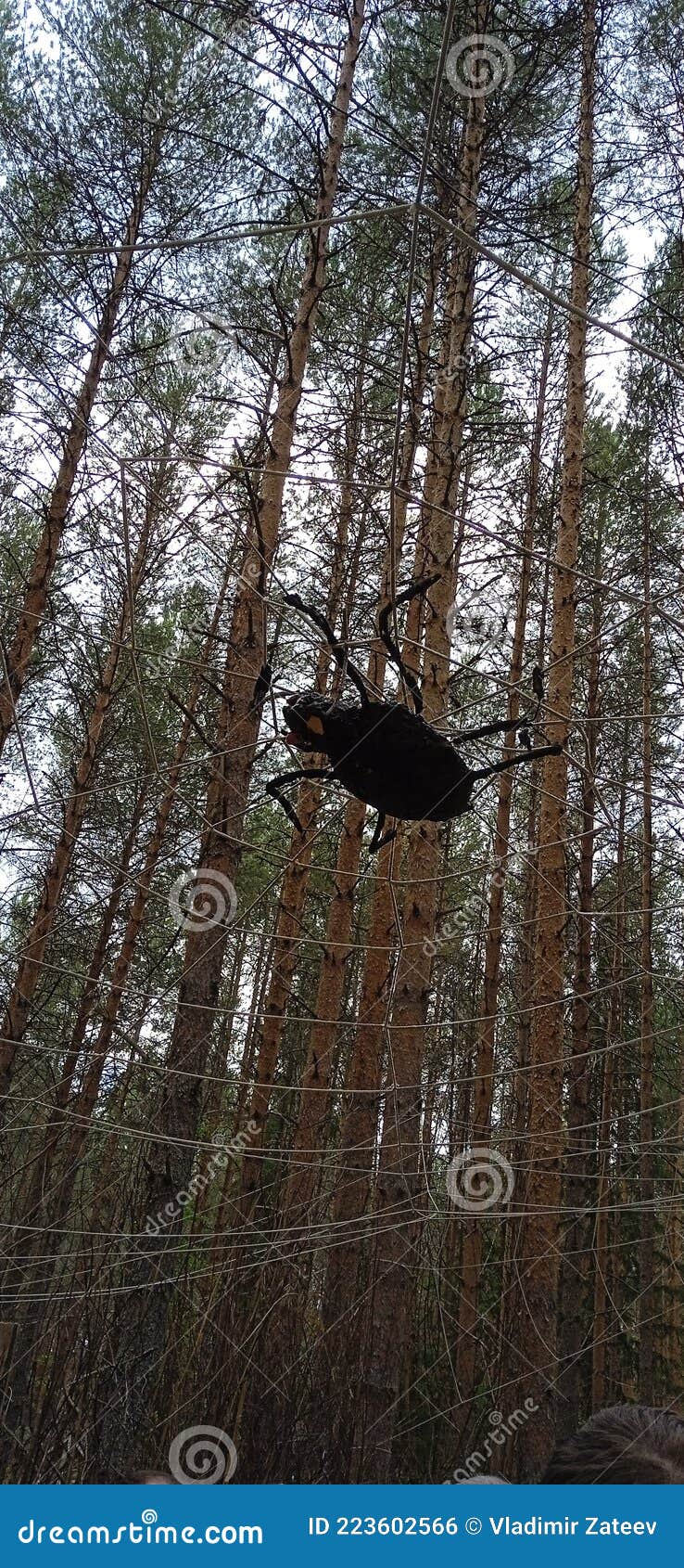 The Spiders are Attacking! Installation Stock Photo - Image of forest ...