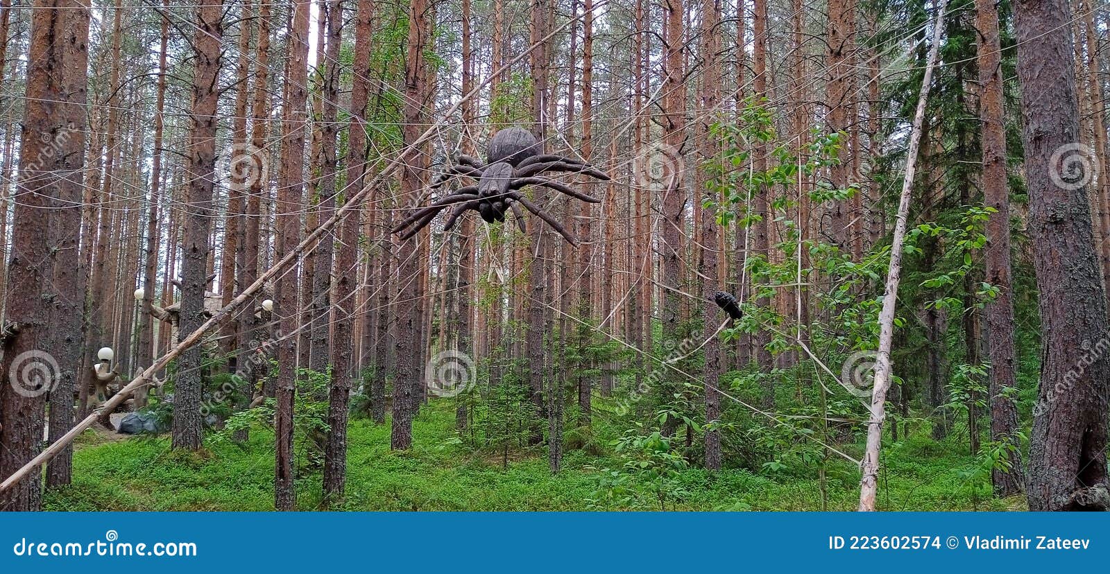 The Spiders are Attacking! Installation Stock Photo - Image of nature ...
