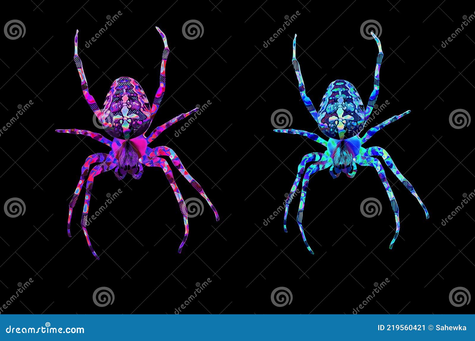 Spiders collections stock illustration. Illustration of animals - 219560421