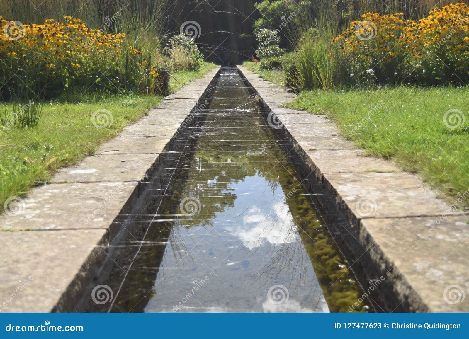 Spiders Crossing stock image. Image of water, formal - 127477623