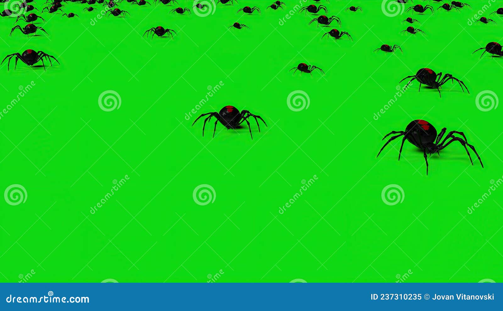 Spiders on Green Background. Creepy Crawling Stock Illustration ...