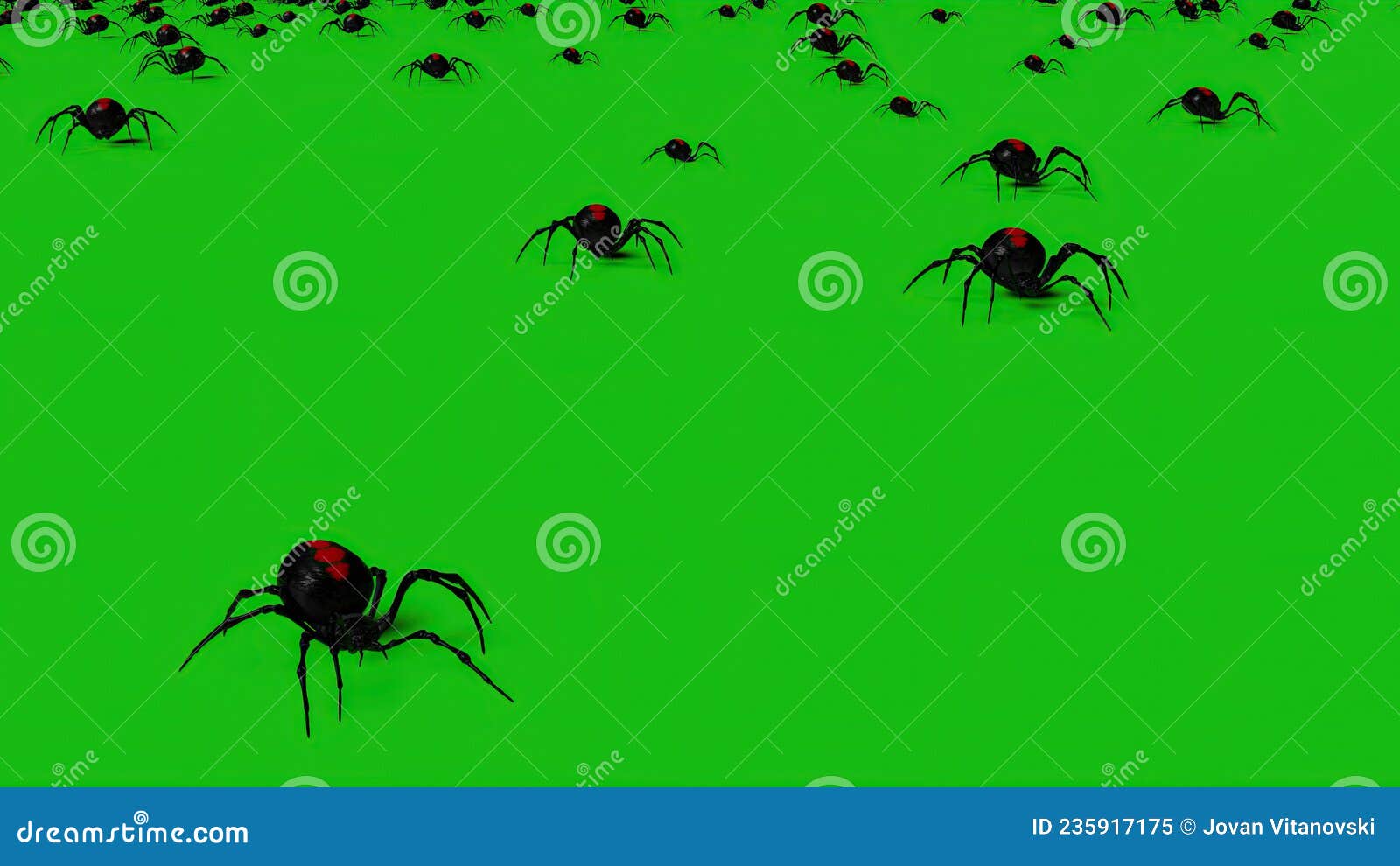 Spiders on Green Screen Creepy Crawling Stock Illustration ...
