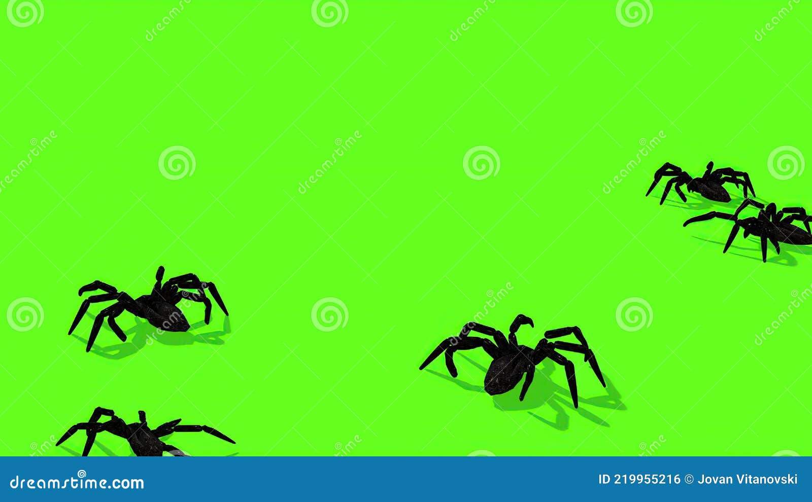 Spiders On Green Screen Creepy Crawling Royalty-Free Illustration ...